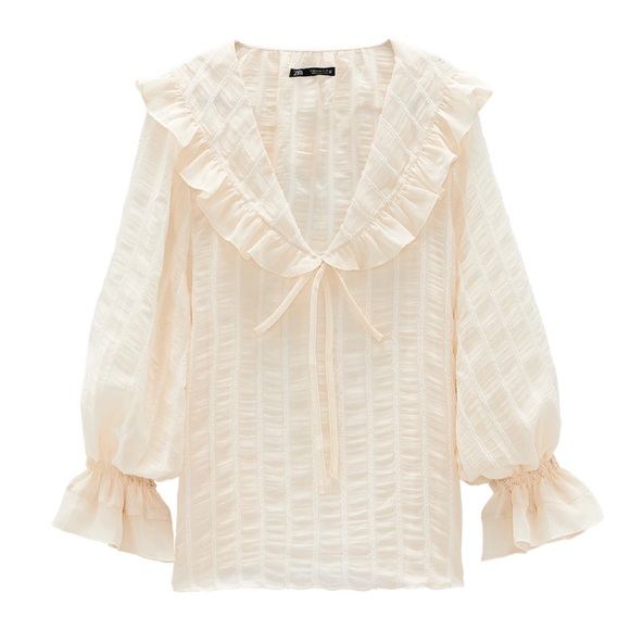 Zara | Tops | Zara Organza Ruffled Blouse | Poshmark